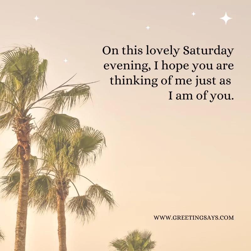 Happy Saturday Afternoon Greetings