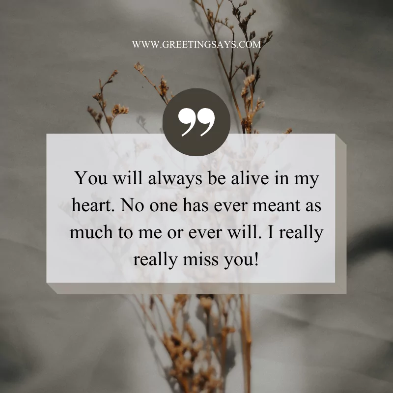 Missing My Sister In Heaven Messages And Quotes